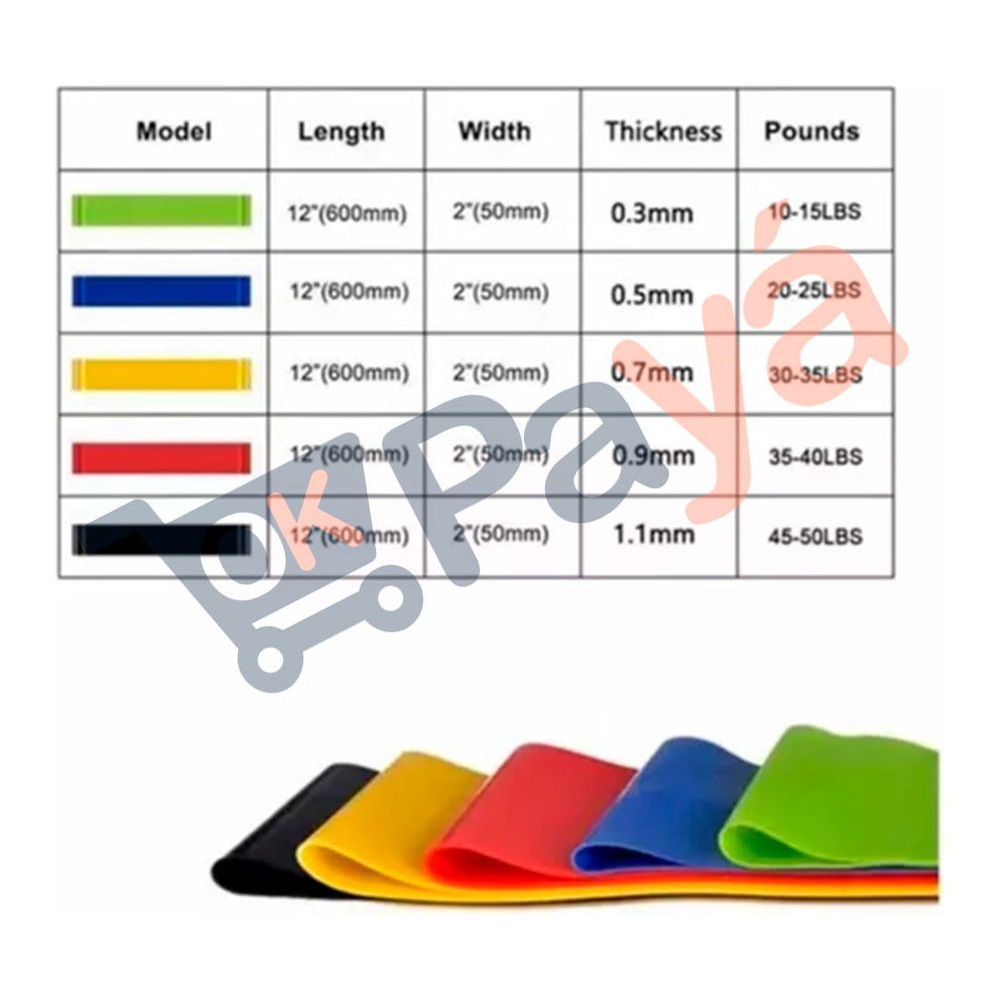 Bandas Elásticas Ejercicios Ligas De Resistencia En Casa